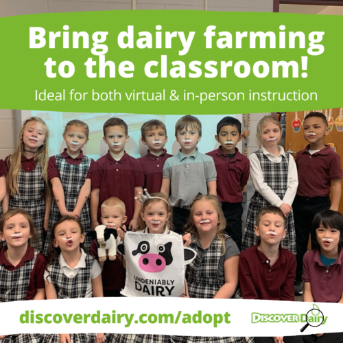 Adopt a Cow Program connects young dairy consumers with the farm