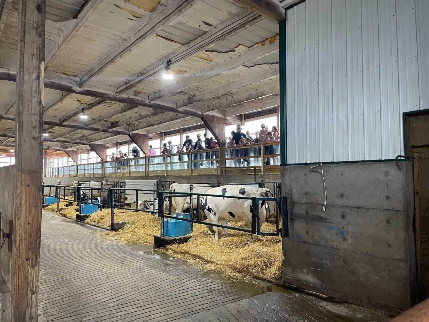 Boadwine Farms Promotes Sustainability, Education | Midwest Dairy