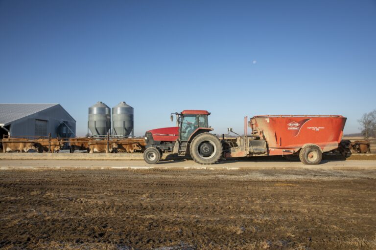 Robotics lend a helping hand at Oklahoma dairy farm | Midwest Dairy Robotics lend a helping hand at Oklahoma dairy farm | Midwest Dairy