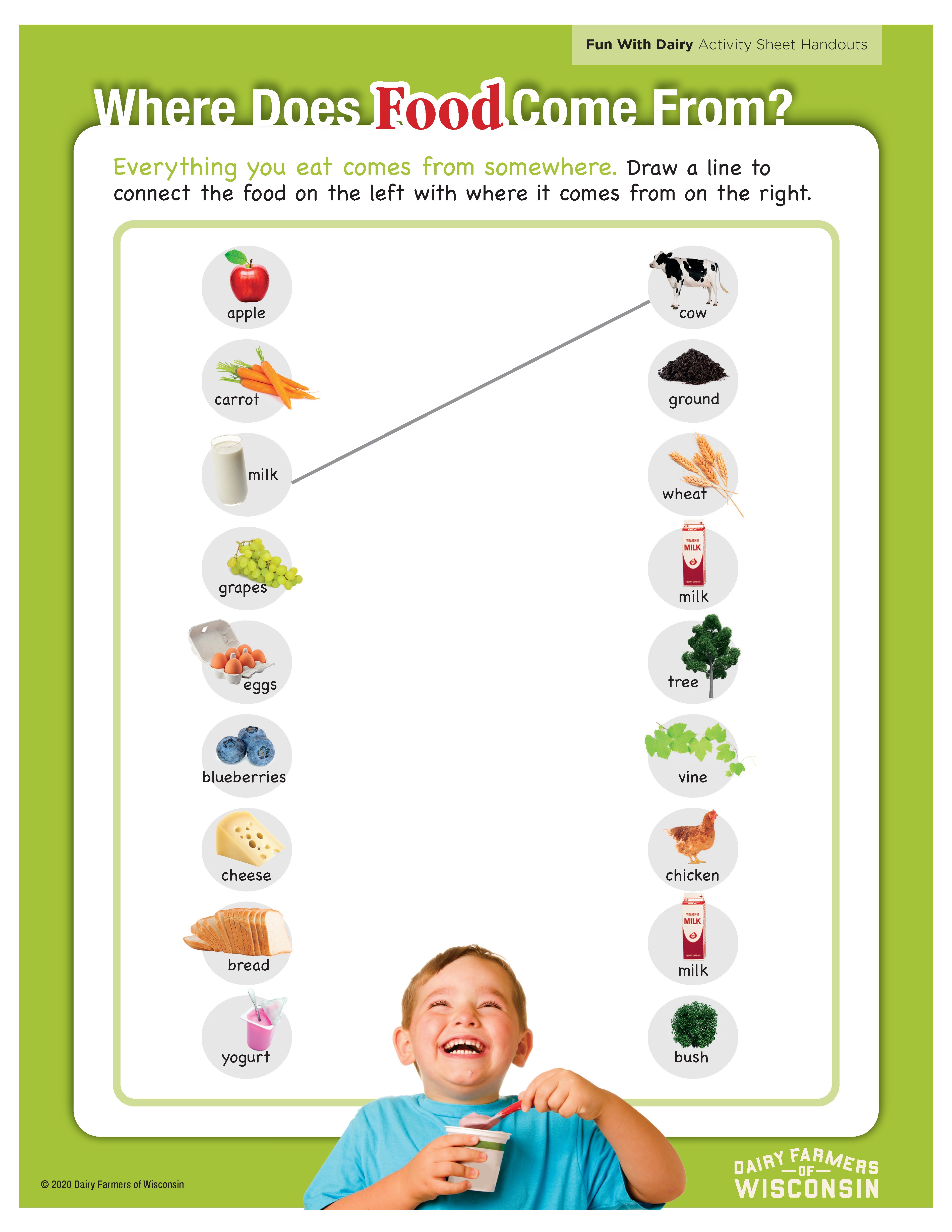 Dairy and Healthy Eating Activity Sheets | Midwest Dairy