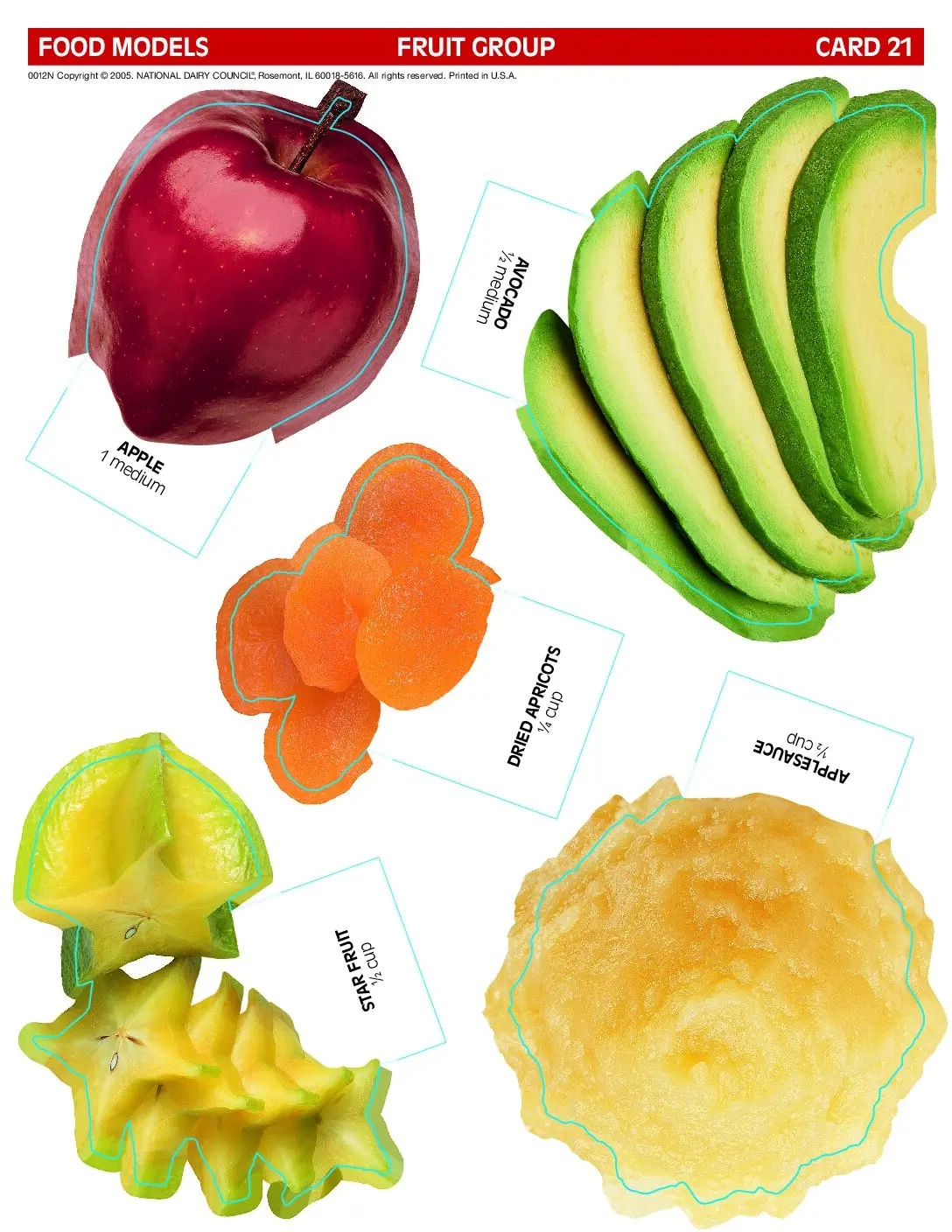 Food Models - Fruit Group - Midwest Dairy