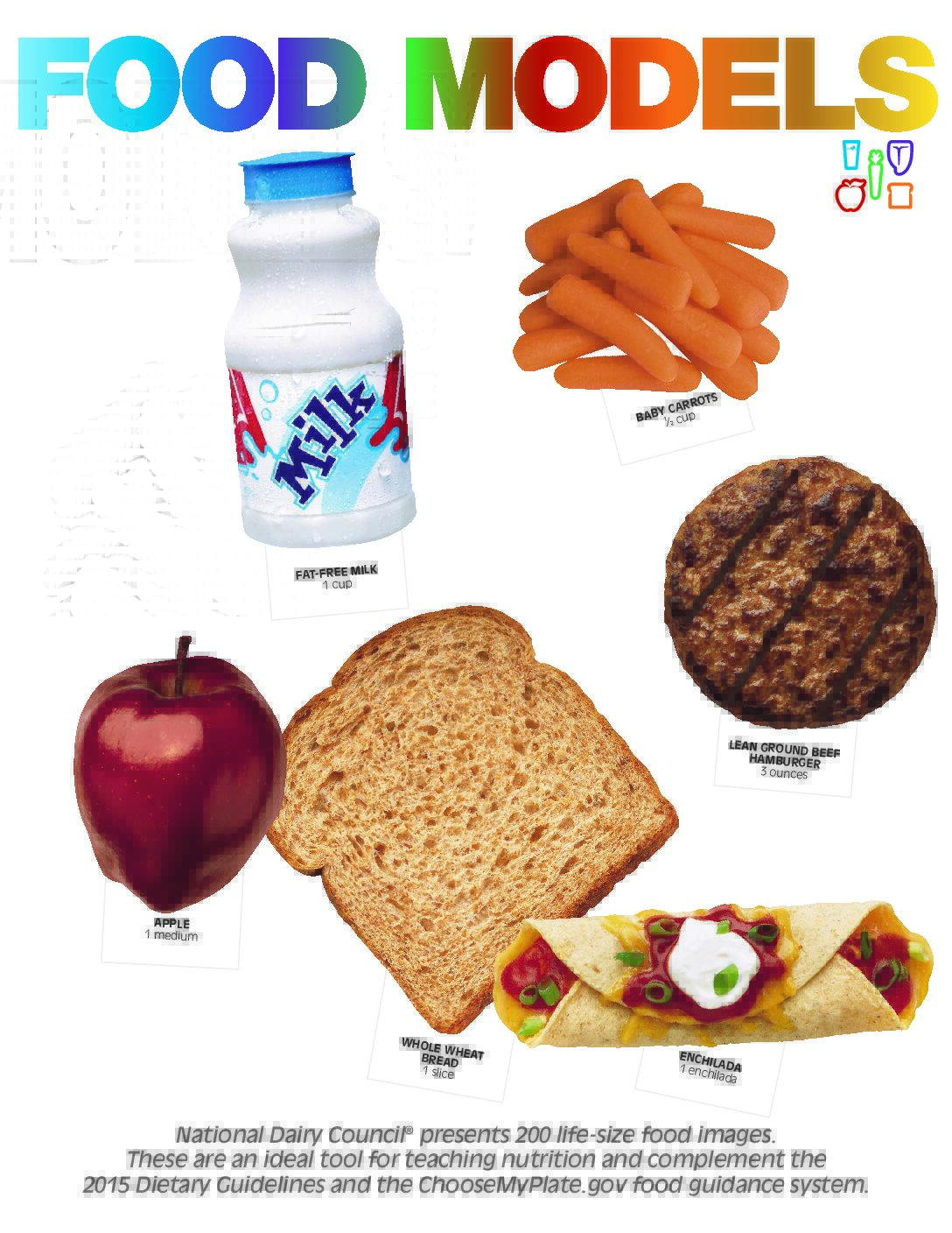 Food Models - Leader Guide | Midwest Dairy