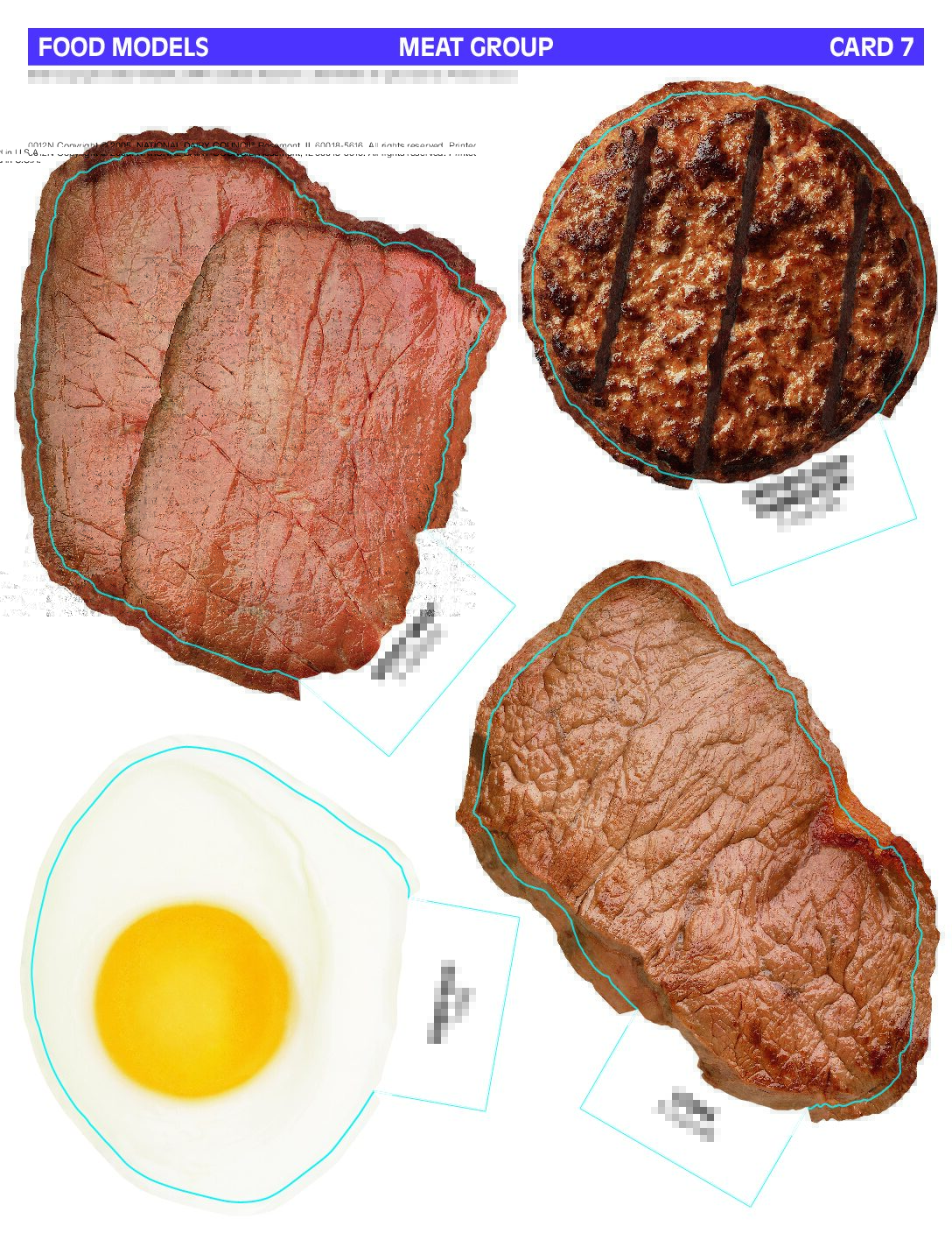 Food Models - Meat Group | Midwest Dairy