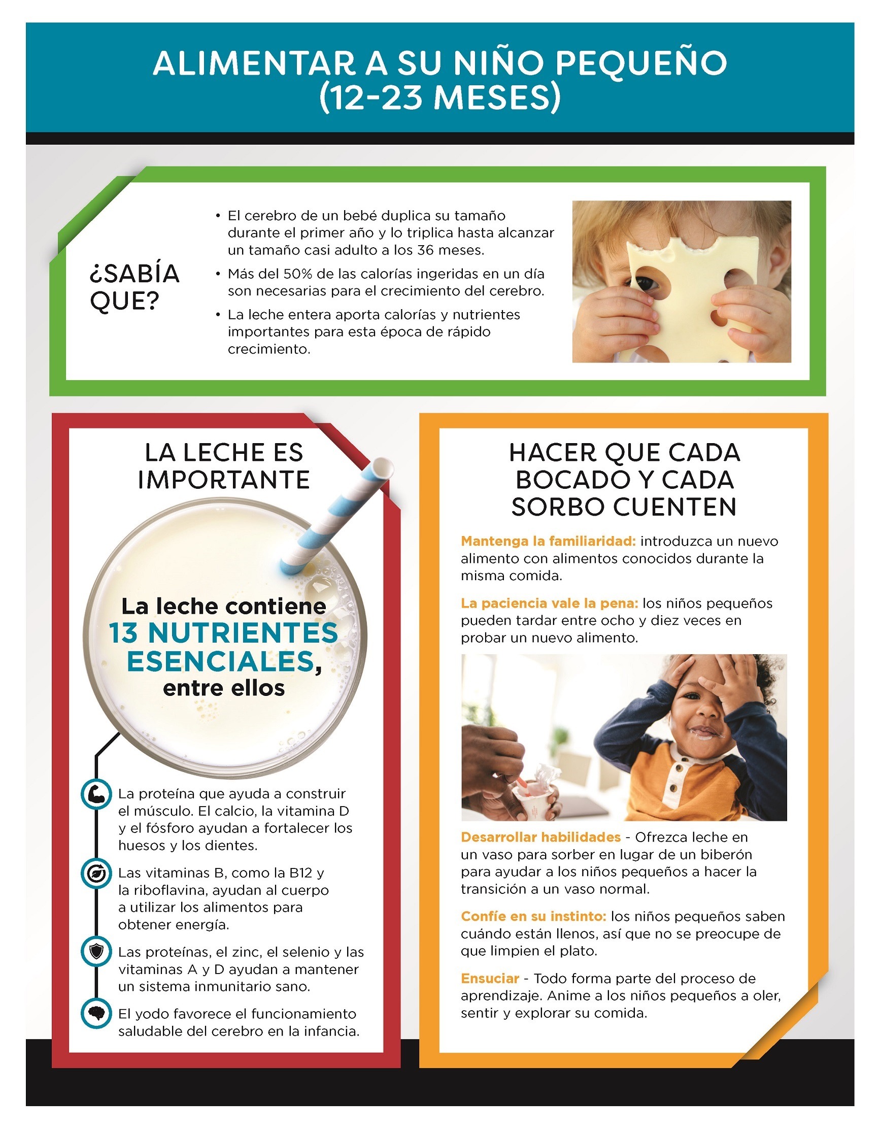 Alimentar a su Niño Pequeño | Midwest Dairy