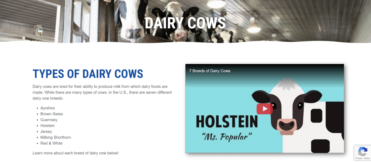 Dairy Lesson Plans & Activities| Midwest Dairy