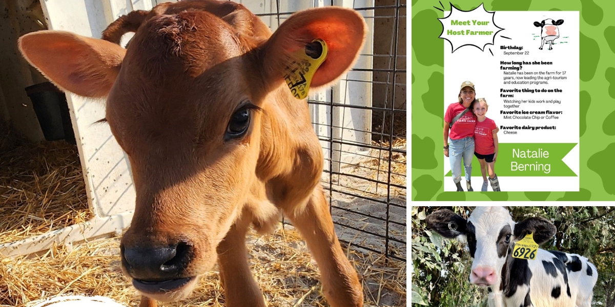 Milking success: The impact of the Adopt a Cow Program in 2024 ...