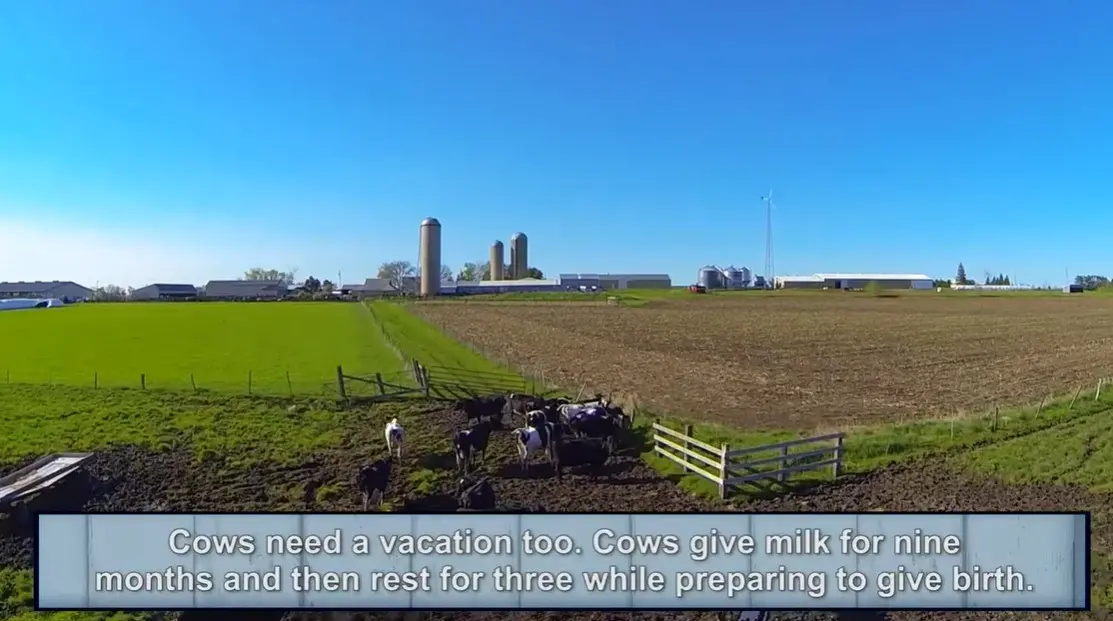 Dairy Farm Tour - Vacation - Midwest Dairy