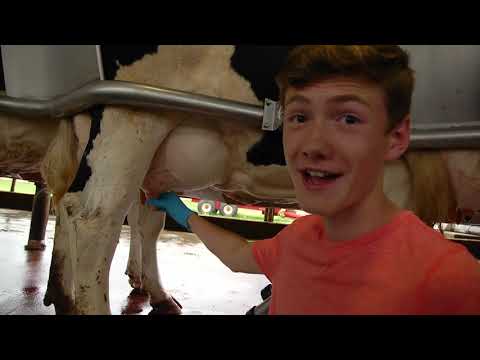 Dairy Farm Tour | Midwest Dairy