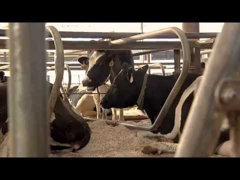 Milk's Journey from Farm to Store | Midwest Dairy